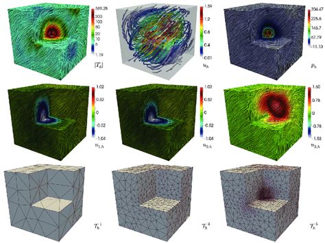 Test 3 Approximate Numerical Solutions Computed With A Method Of Order