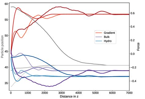 Time Evolution Of Force Contributions In The Emergent Attractor State
