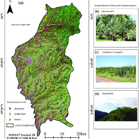 Spatial Distribution Of Measured Vegetation Plots Download Scientific