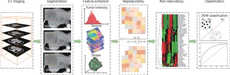figure 1 from reproducibility and non redundancy of radiomic features