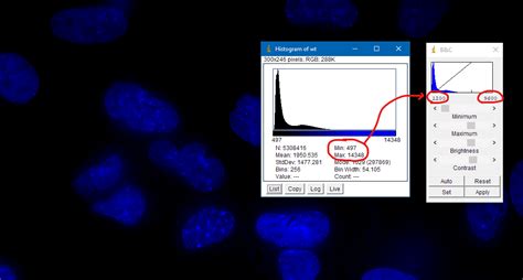 Imagej Default Display Range Calculation Image Analysis Imagesc Forum