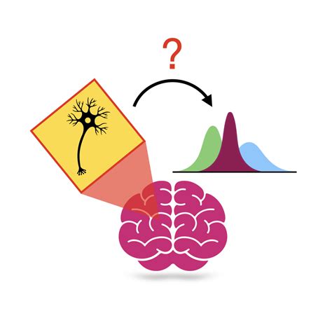 Normative Models Neuronal Intelligence Group