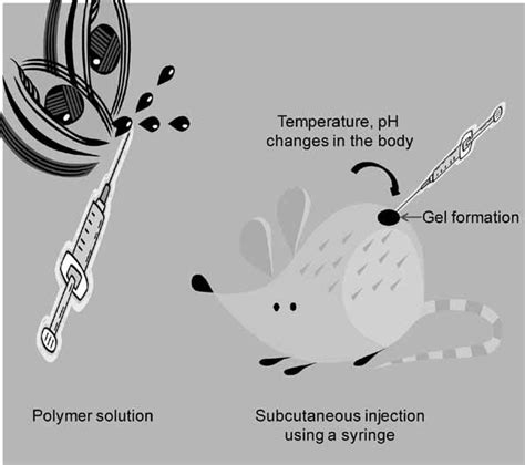 Injectable Biodegradable Hydrogels Nguyen 2010 Macromolecular Bioscience Wiley Online
