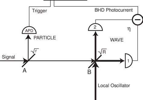 Schematic Of The Wave Particle Correlator Download Scientific Diagram
