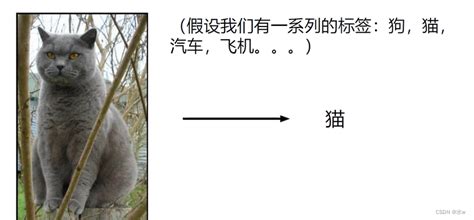深度学习五大神经网络 1 Csdn博客
