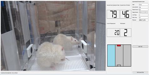 Figure 1 From Hardware Software And Statistical Tools For Cognitive Neuroscience Semantic