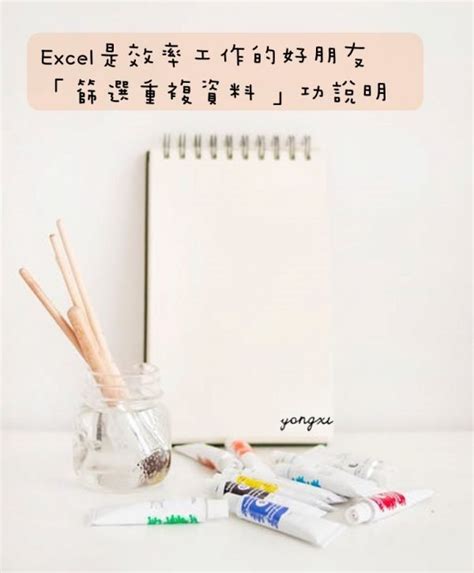 【excel 篩選重複資料功能教學】 永析統計及論文諮詢顧問