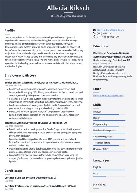 Meta Business Systems Developer Resume Examples Resumecat