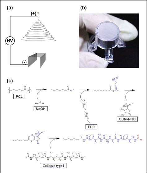 Figure 1 From Collagen Immobilization On Ultra Thin Nanofiber Membrane To Promote In Vitro