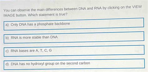 Solved You Can Observe The Main Differences Between DNA And RNA By Clicking On The VIEW IMAGE