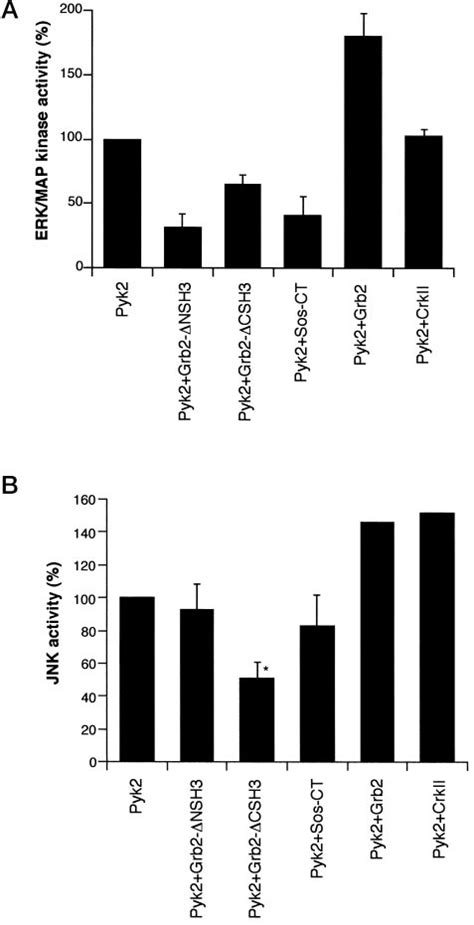 The Grb2sos Complex Links Pyk2 With Erk Activation A 293t Cells Were