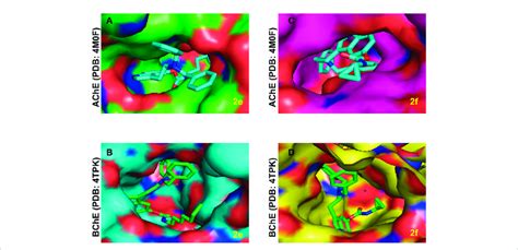 The Possible Binding Mode For The Compounds 2e And 2f In The Ache Pdb Download Scientific