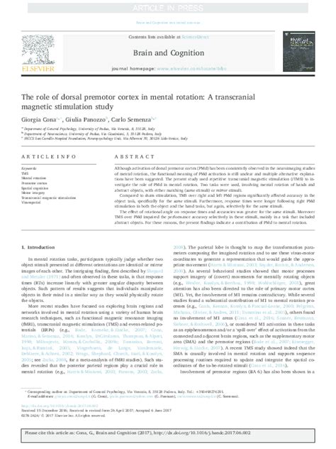 Pdf The Role Of Dorsal Premotor Cortex In Mental Rotation A