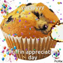 Muffins S Tenor
