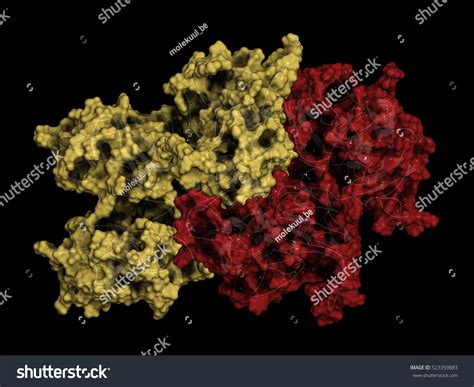 Platelet Deficiency Over 130 Royalty Free Licensable Stock