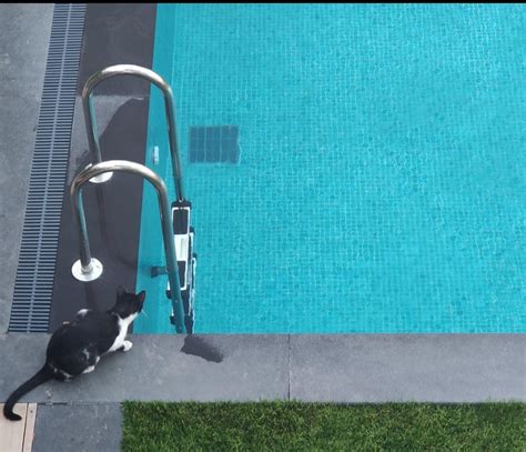 Pool Automation With Home Assistant R Homeassistant