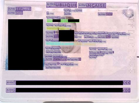 Optimizing Id Card Text Extraction With Deep Learning