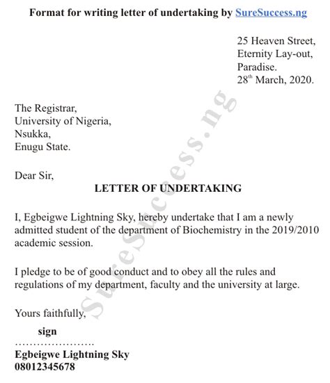 How To Write Letter Of Undertaking See Samples