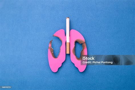 폐 화상과 담배는 파란색 배경에 잘린 종이로 만들어졌다 0명에 대한 스톡 사진 및 기타 이미지 0명 5월 World No