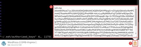 Aws Cloud9 Ide에서 Amazon Lightsail 인스턴스 작업 Aws Cloud9