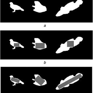 Detection Of The LR In Different Non Convex Hull Geometrical Shapes A Download Scientific