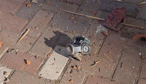 יאיר רביבו יאיר רביבו Added A New Photo יאיר רביבו יאיר רביבו Added A New Photo