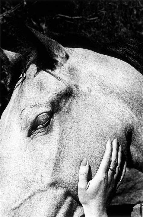 초현실주의 거장 랄프 깁슨 사진미술관 해운대에 선다