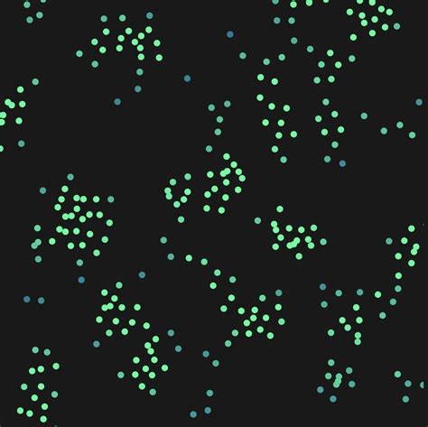 Simulating A Tiny Ecosystem With Boids Tristan Antonsen