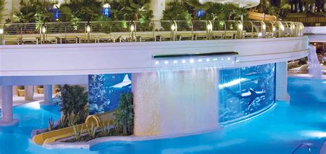 Water Parks In Las Vegas In 2025