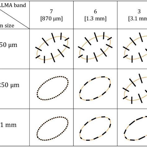 Schematic Representation Of The Polarization Vectors From Polarized Download Scientific Diagram