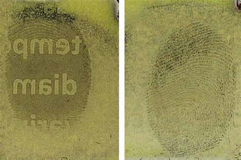 Forensic Tech Shows If Fingerprints Were Applied To Incriminating Text