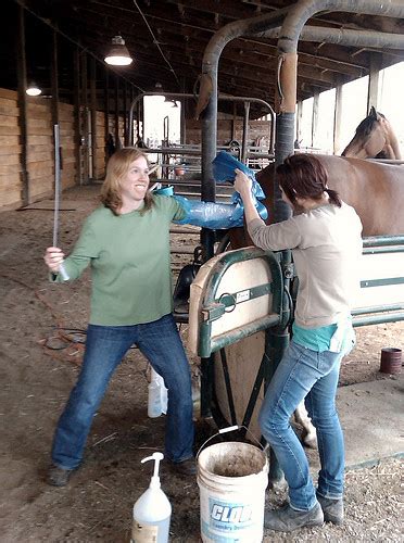 Jenny Preparing To Pass The Pipette Lbccbreeding Flickr