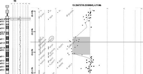 Microarray Containing 60 Mer Oligonucleotide Probes Covering Chromosome