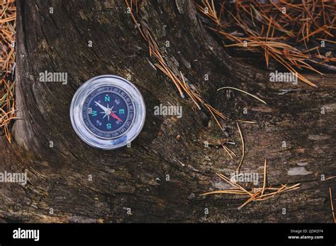 Compass On A Tree Stump In Foresttravel And Recreation Wild Stock