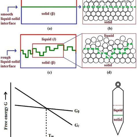 Liquid Solid Interfaces A B Atomically Smooth C D Atomically Rough