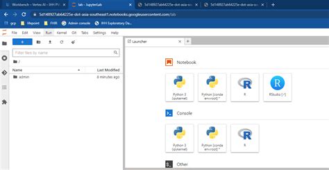 Unable To Use In Google Cloud Jupyter Notebook Issue