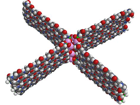 Polymer 3d Structure