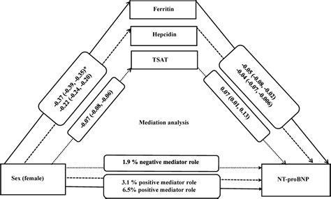 Frontiers Sex And N Terminal Pro B Type Natriuretic Peptide The