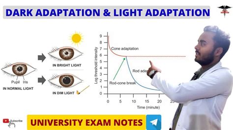 Dark Adaptation Light Adaptation Special Sense Physiology Youtube