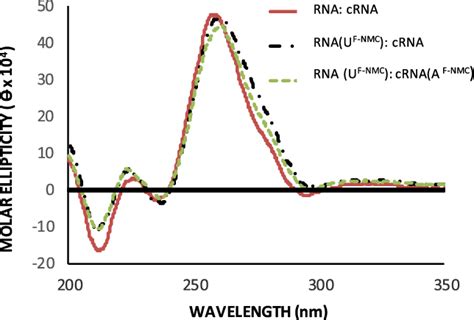 Cd Spectra Of 2′ F Nmc Modified Rna And Complementary Rna Crna Duplex Download Scientific