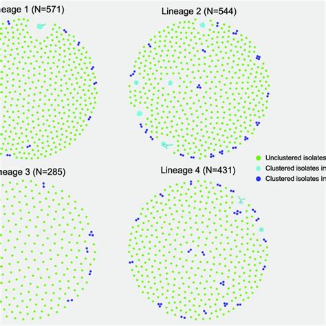 Birds Eye Overview Of Lineage Specific Tuberculosis Cases And Likely Download Scientific