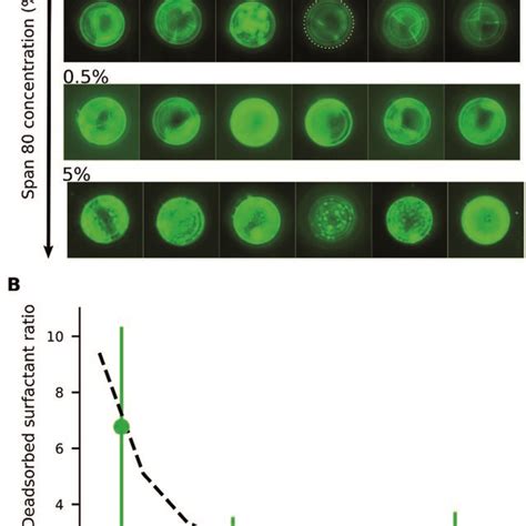 Adsorption Of Reverse Micelles Loaded With Fluorescein On The