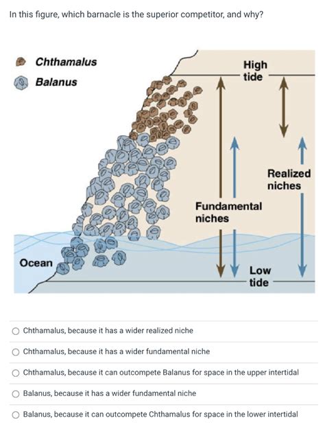 Solved In This Figure Which Barnacle Is The Superior