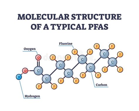 Pfas Molecular Structure Shows Carbon Fluorine Bonds Illustrating