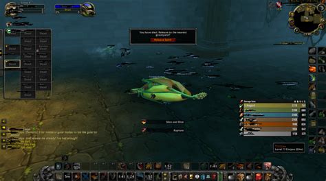 Clean Morphaz And Hazzas Kill Rclassicwow