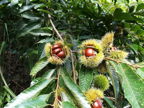 9月 2019 ファーマーズハウスさわ