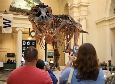 How Sex Killed Tyrannosaurus Rex Realclearscience