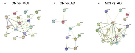 Protein Protein Association Networks Constructed Using The Search