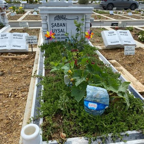 Çözüldü İbb İstanbul Büyükşehir Belediyesi E5 Ortasında Yaya