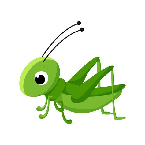 Cartoon Grasshopper Vector Insect Illustration Isolated On White